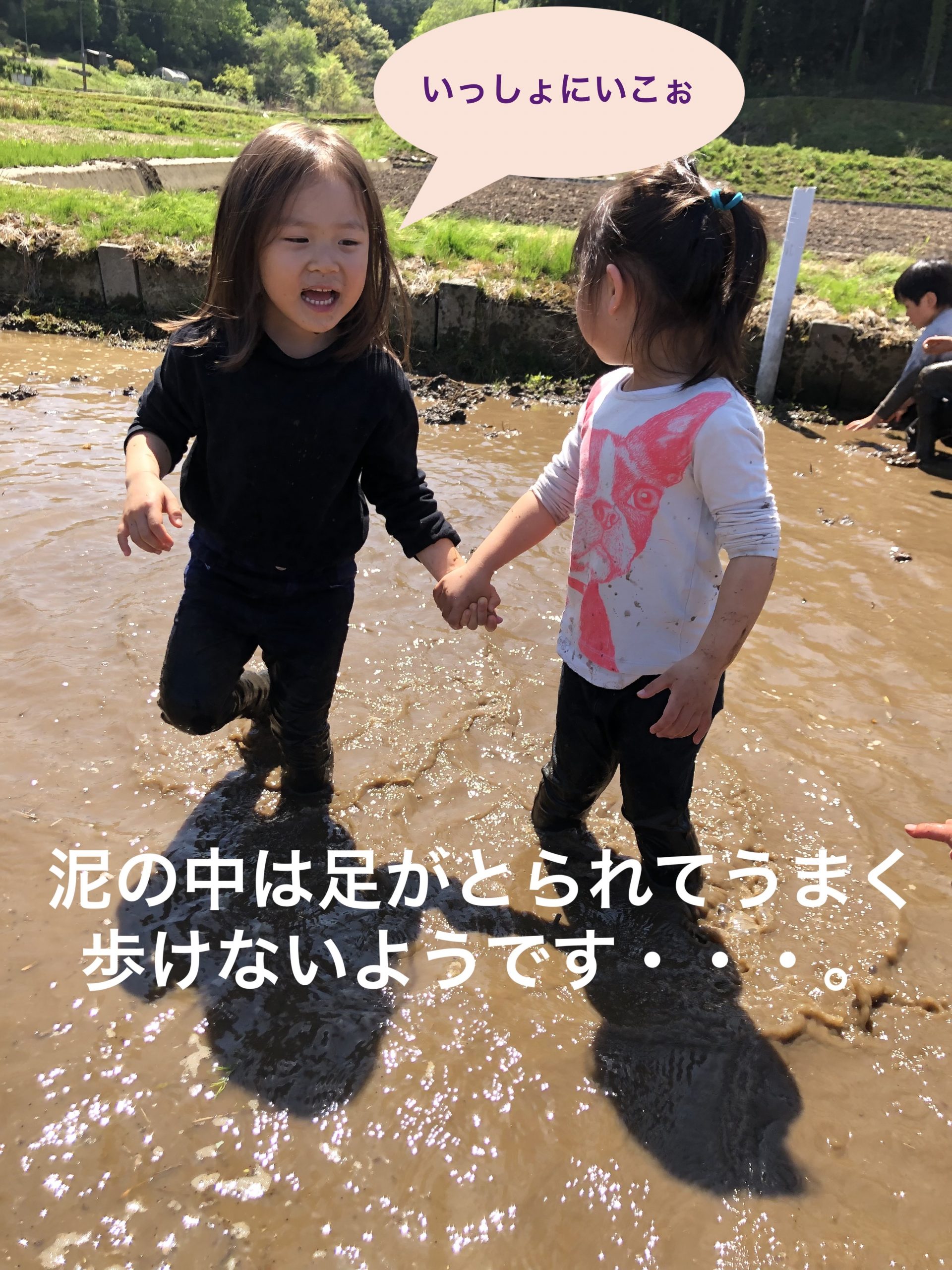 IMG_0944 – 認定こども園大成学園いなだこども園