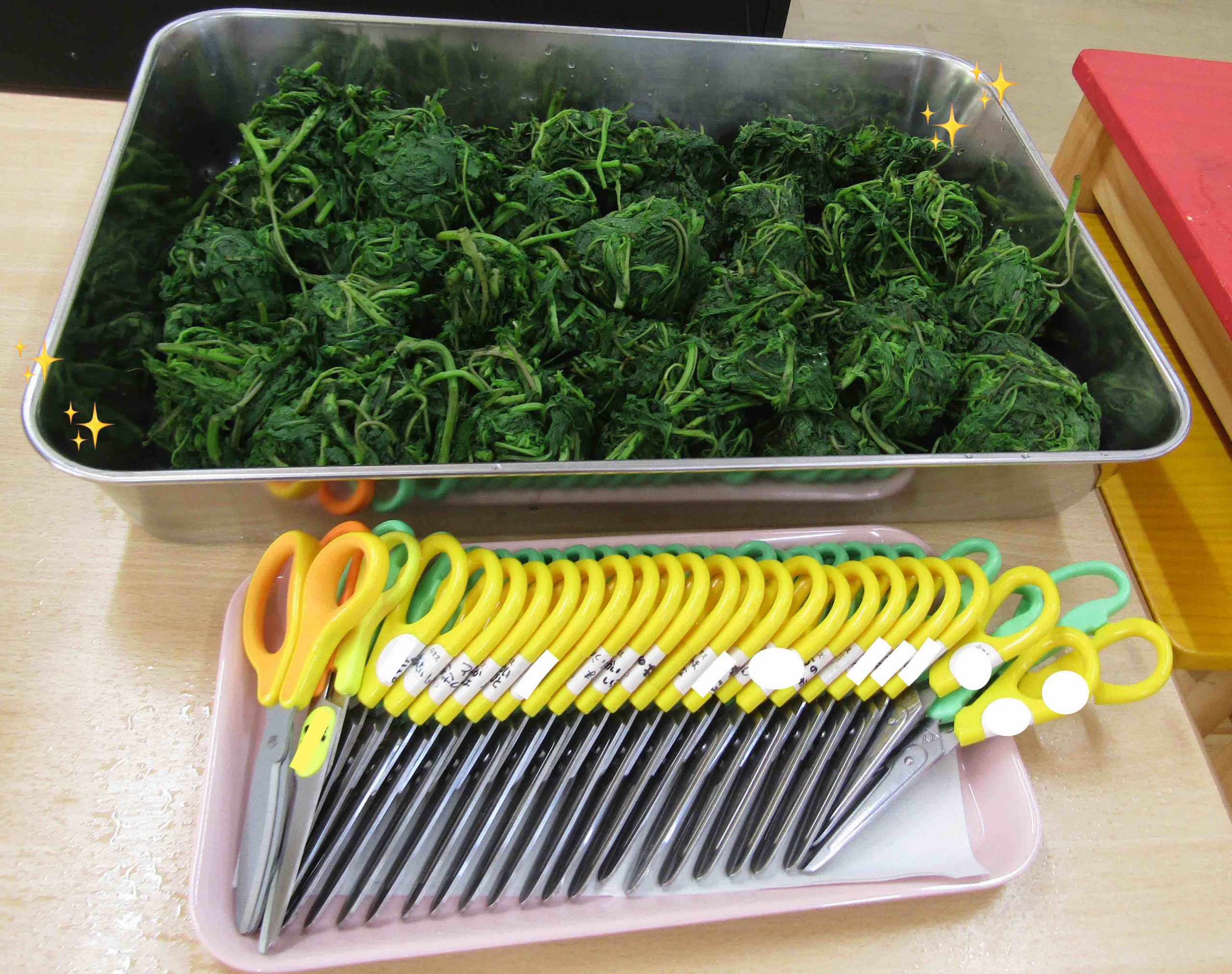 IMG_6050 – 認定こども園大成学園いなだこども園